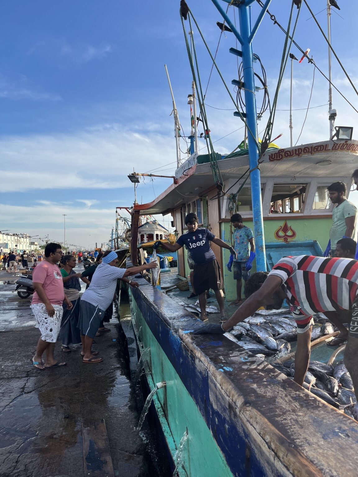 Work Begins at 3am at Kasimeduâ€™s Fish Market - The Locavore