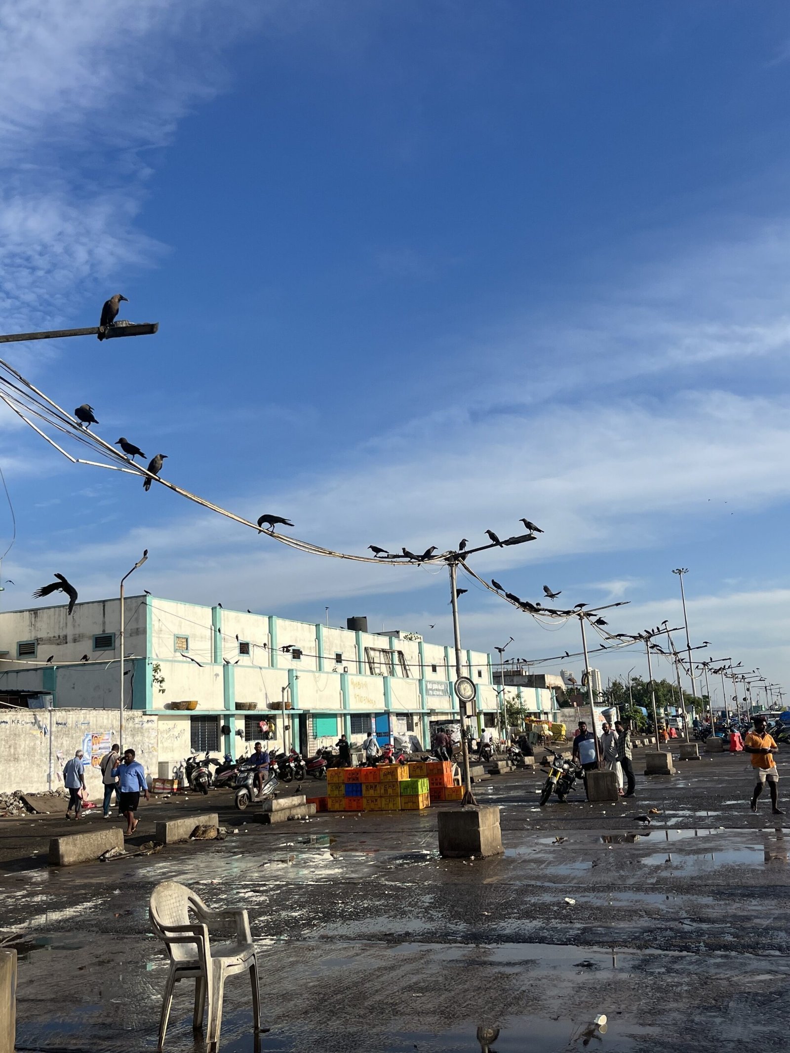 Work Begins at 3am at Kasimeduâ€™s Fish Market - The Locavore