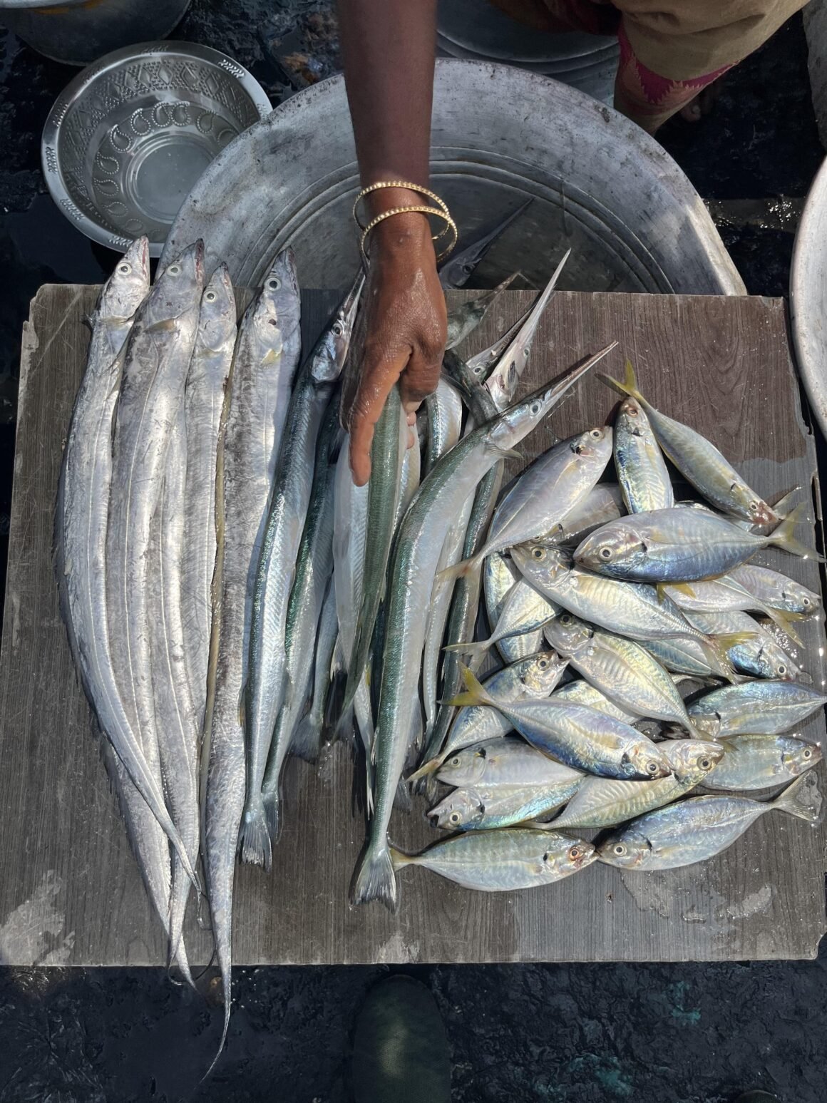 Work Begins at 3am at Kasimedu’s Fish Market - The Locavore