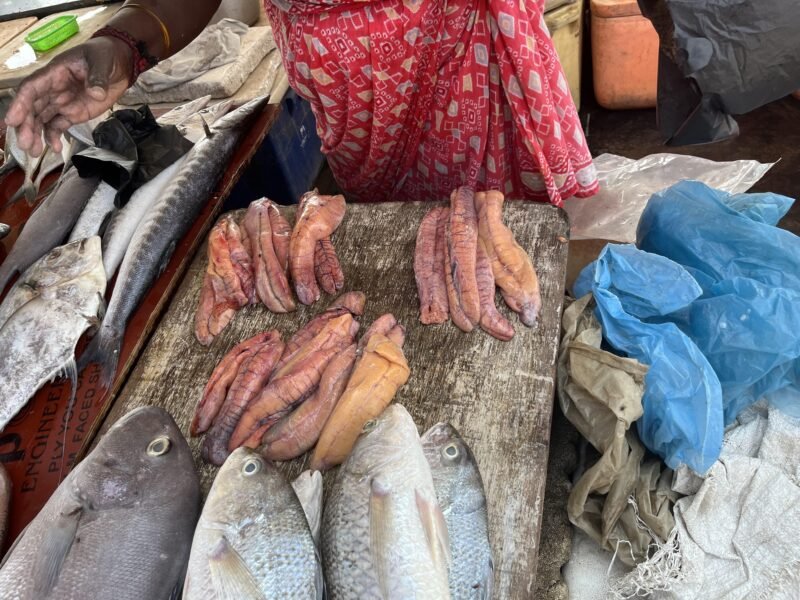 Work Begins at 3am at Kasimedu’s Fish Market - The Locavore