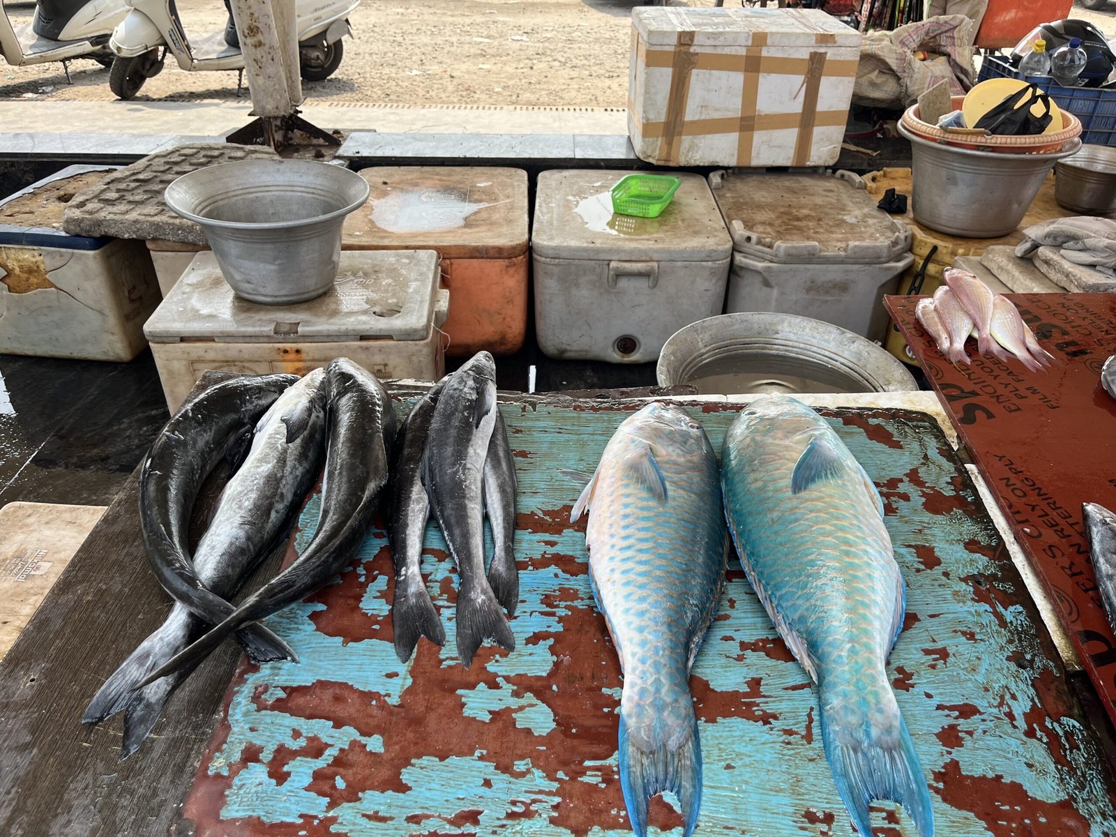 Work Begins at 3am at Kasimeduâ€™s Fish Market - The Locavore
